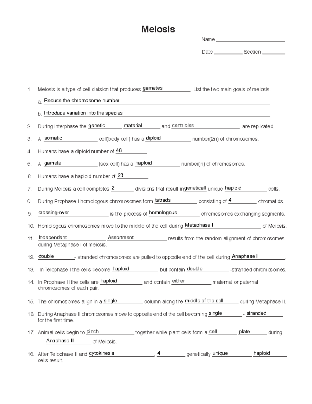 Meiosis Worksheet - Meiosis Name ________________________ Date ...