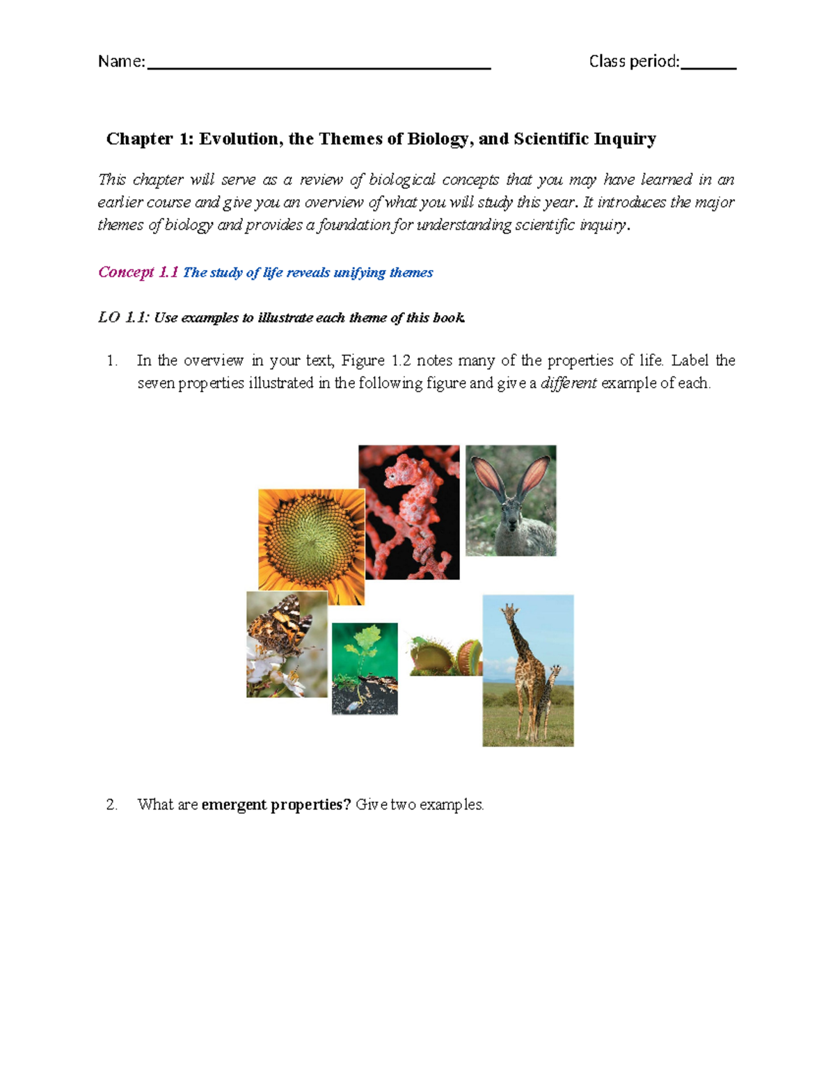 Chapter 1 - work - Name: Class period: Chapter 1: Evolution, the Themes ...