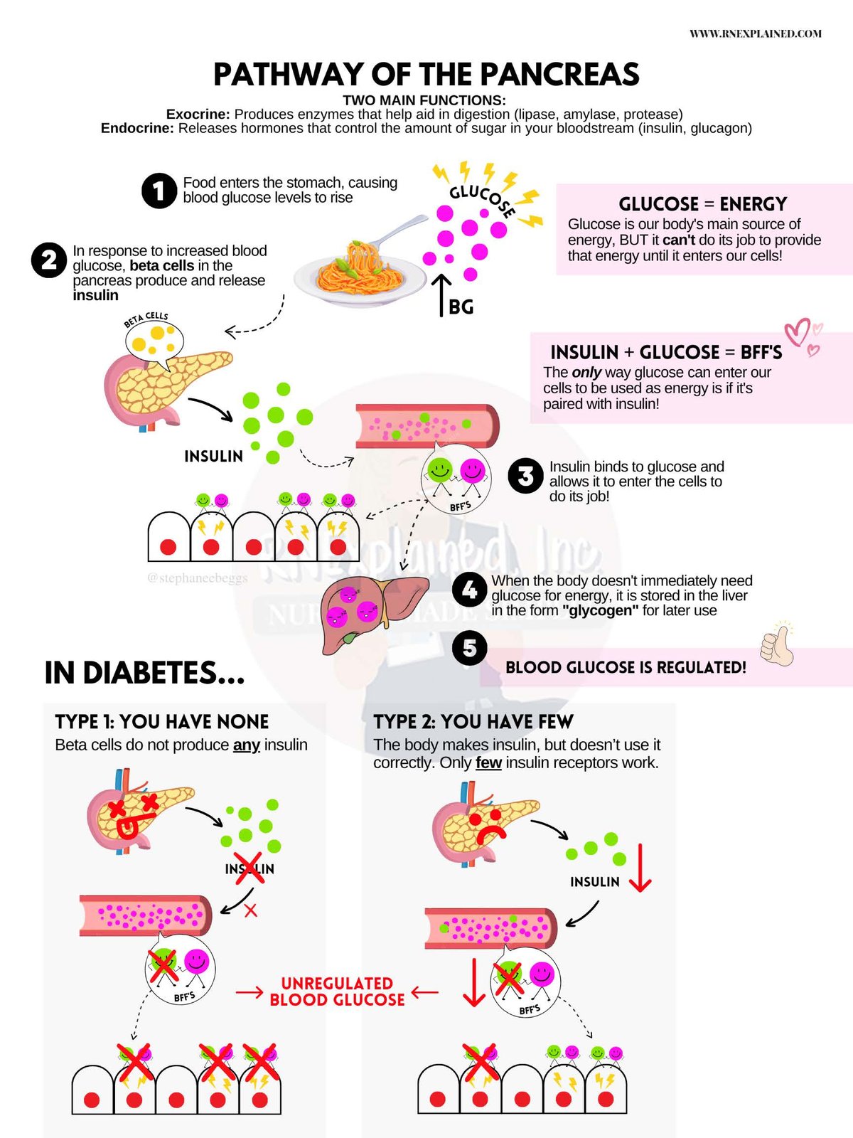RNExplained Diabetes Breakdown - NUR201 - Studocu