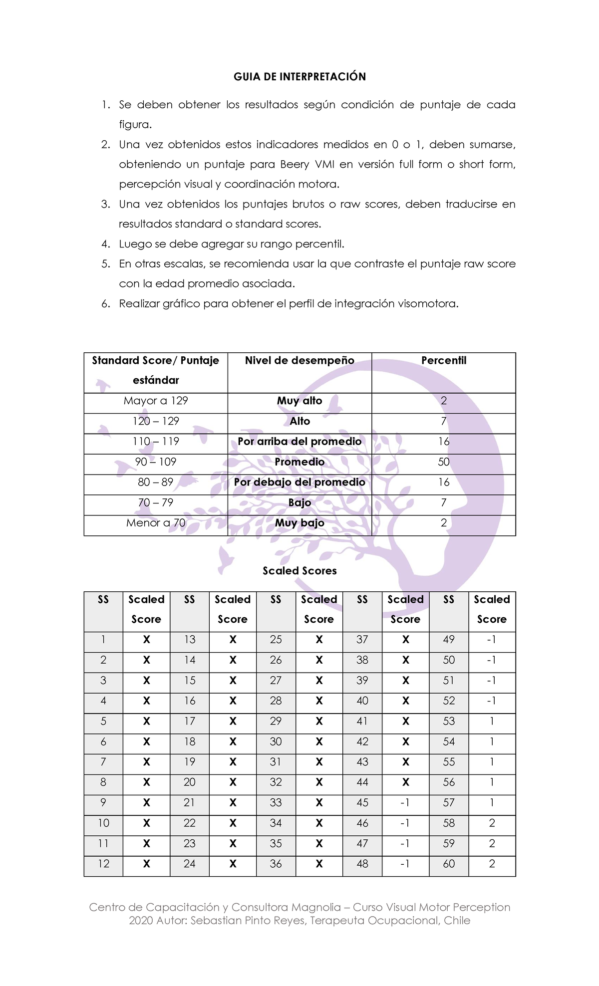 Guia de interpretación VMI - Centro de CapacitaciÛn y Consultora ...