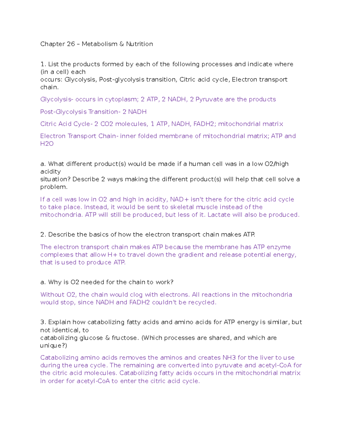 Metabolism and Nutrition Overview - Chapter 26 – Metabolism & Nutrition ...