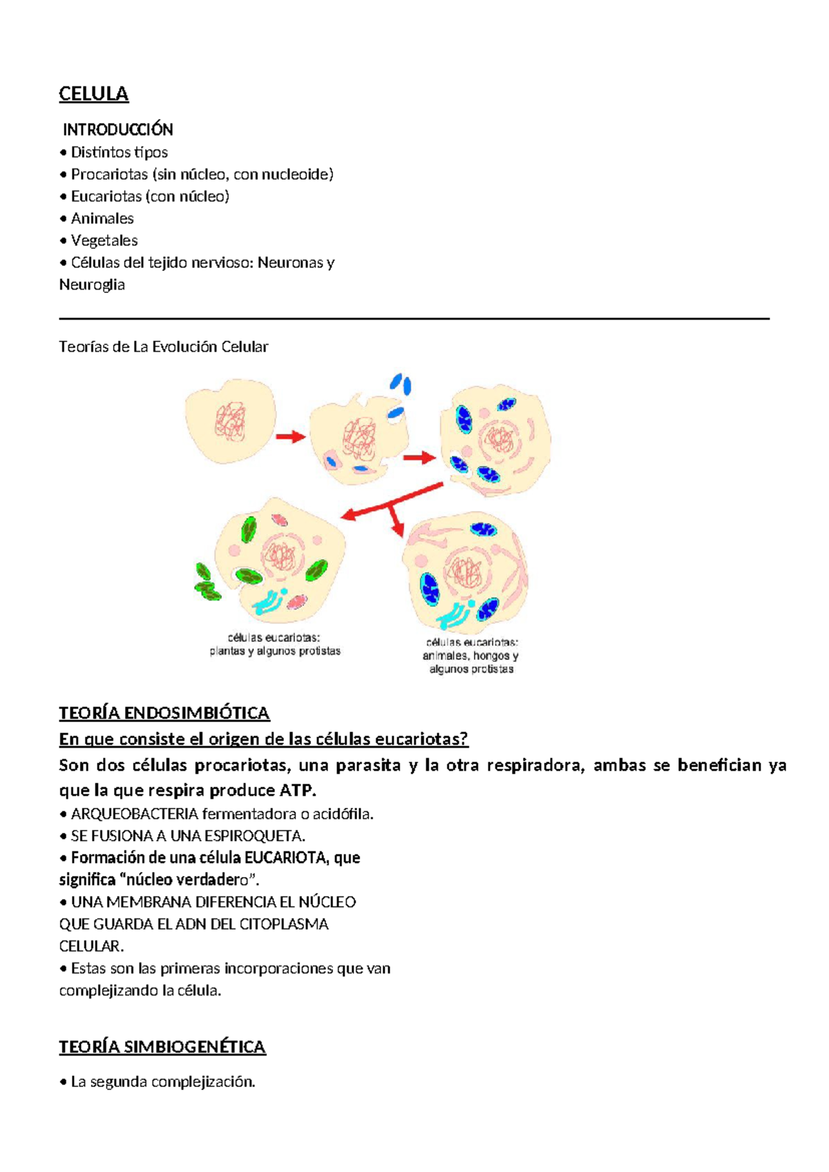 Celula Resumen - CELULA INTRODUCCIÓN • Distintos tipos • Procariotas (sin núcleo, con nucleoide ...