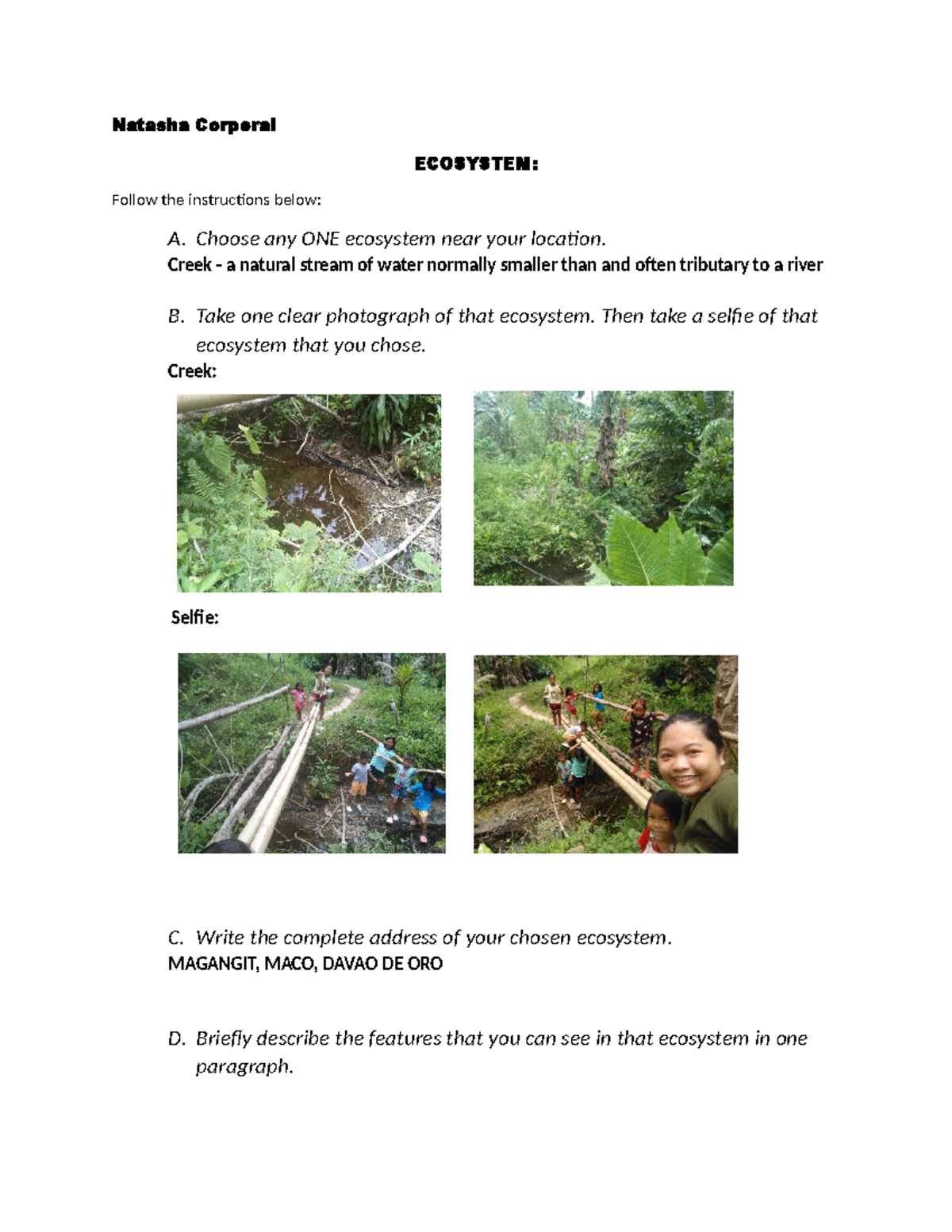 Ecosystem example - Natasha Corporal ECOSYSTEM: Follow the instructions ...