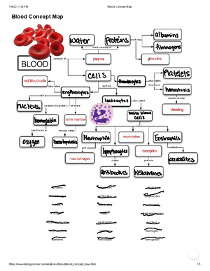Heart Prep HW - Cardiovascular System- Mastering the Basics of the ...