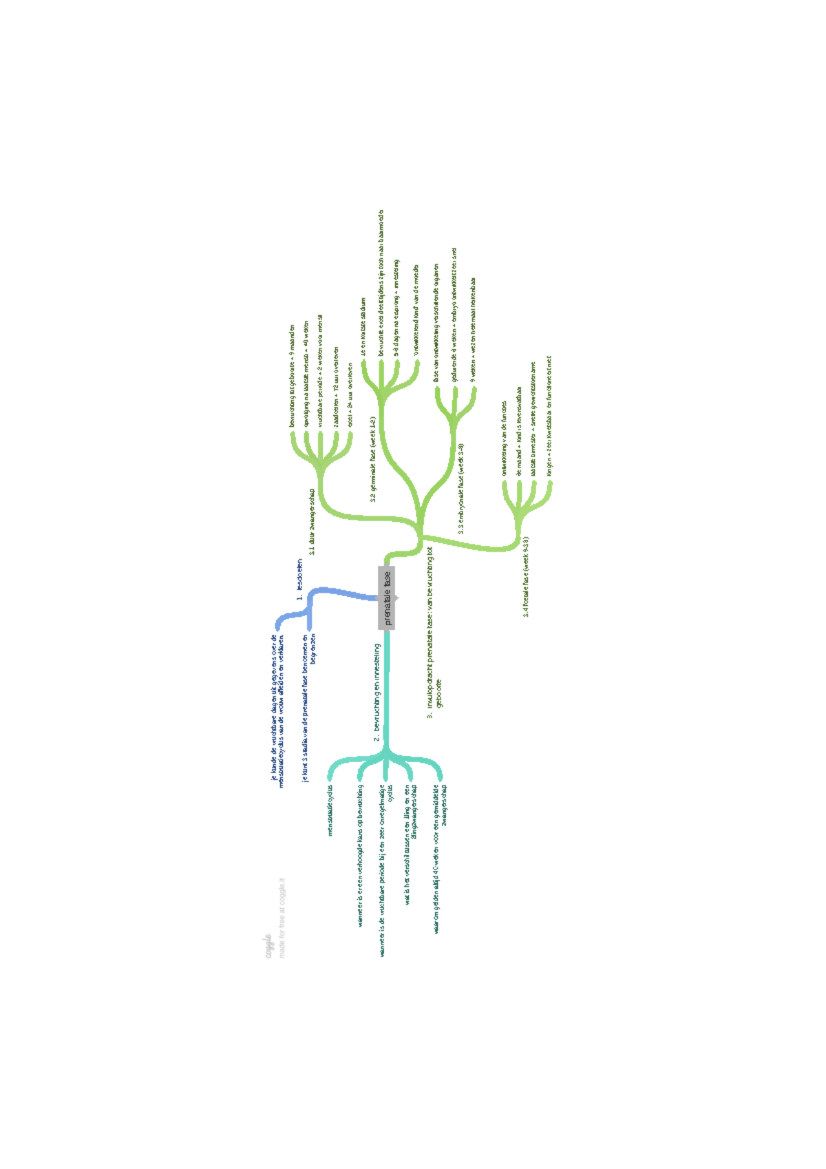 Mindmap prenatale fase - prenatale fase lesdoelen bevruchting en innesteling invulopdracht ...