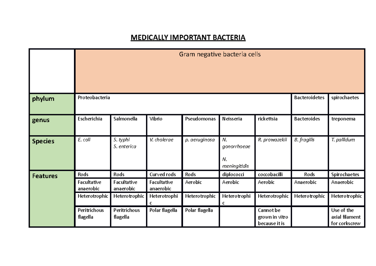 Medically Important Microbes PHAR2812 - MEDICALLY IMPORTANT BACTERIA ...