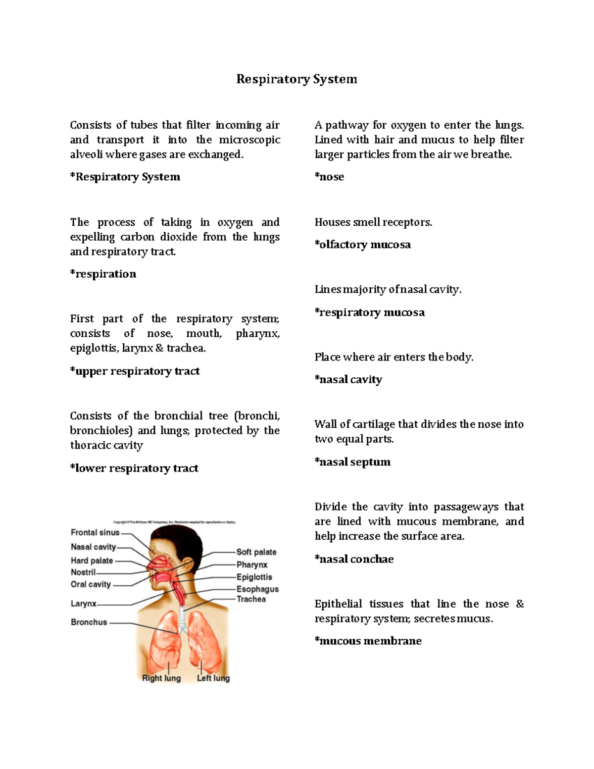 Anaphy finals reviewer - Respiratory System Consists of tubes that ...