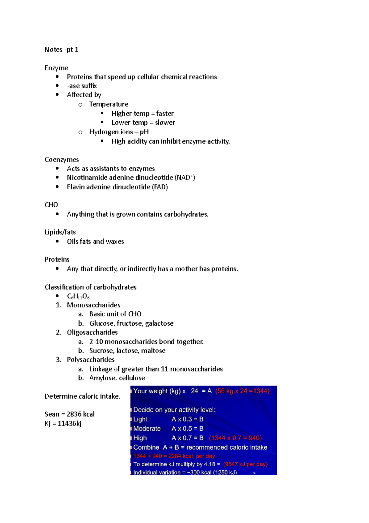 SSEH midsem notes 1 - Notes -pt 1 Enzyme Proteins that speed up ...
