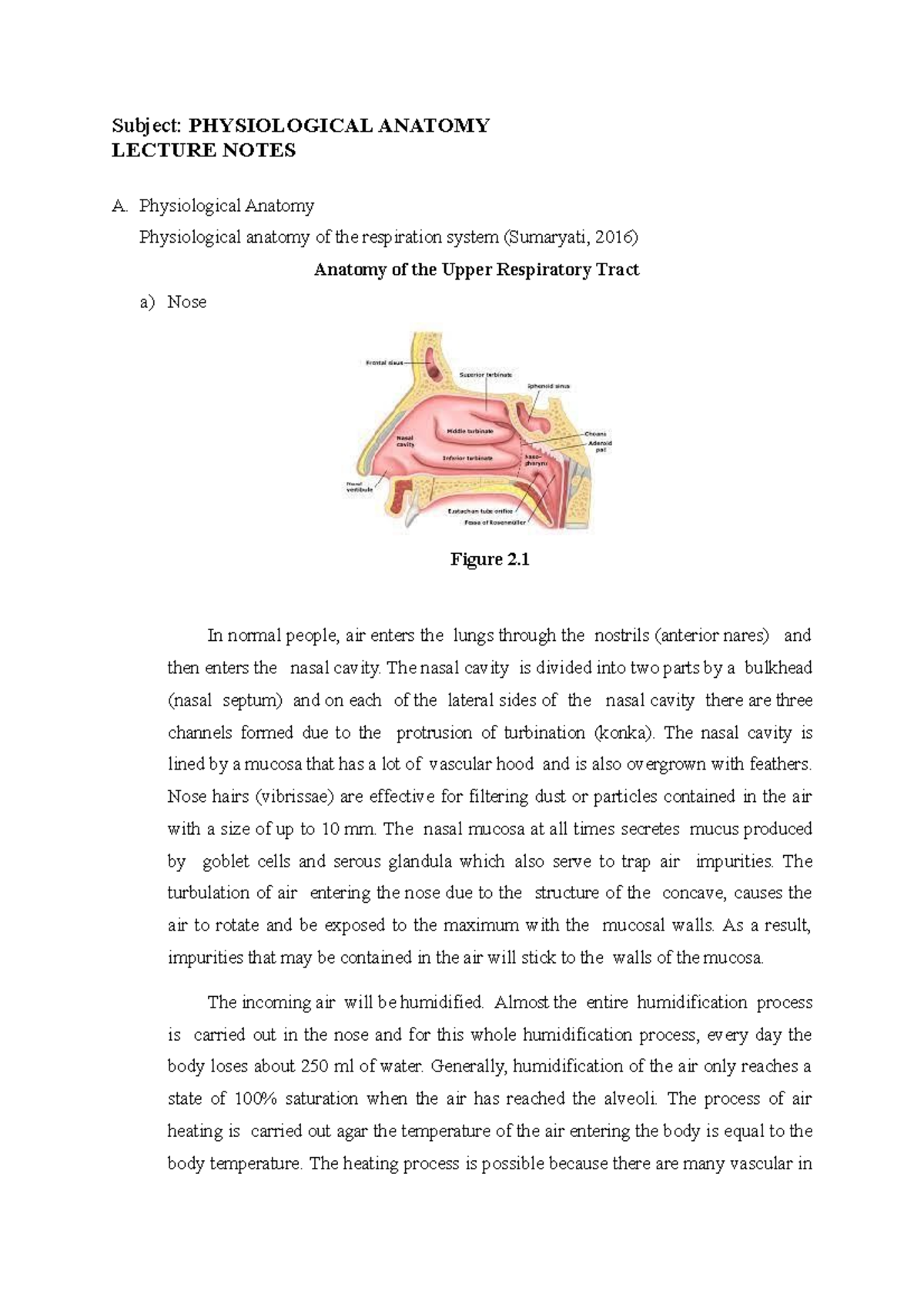Physiological Anatomy - Lecture Notes - Subject: PHYSIOLOGICAL ANATOMY ...