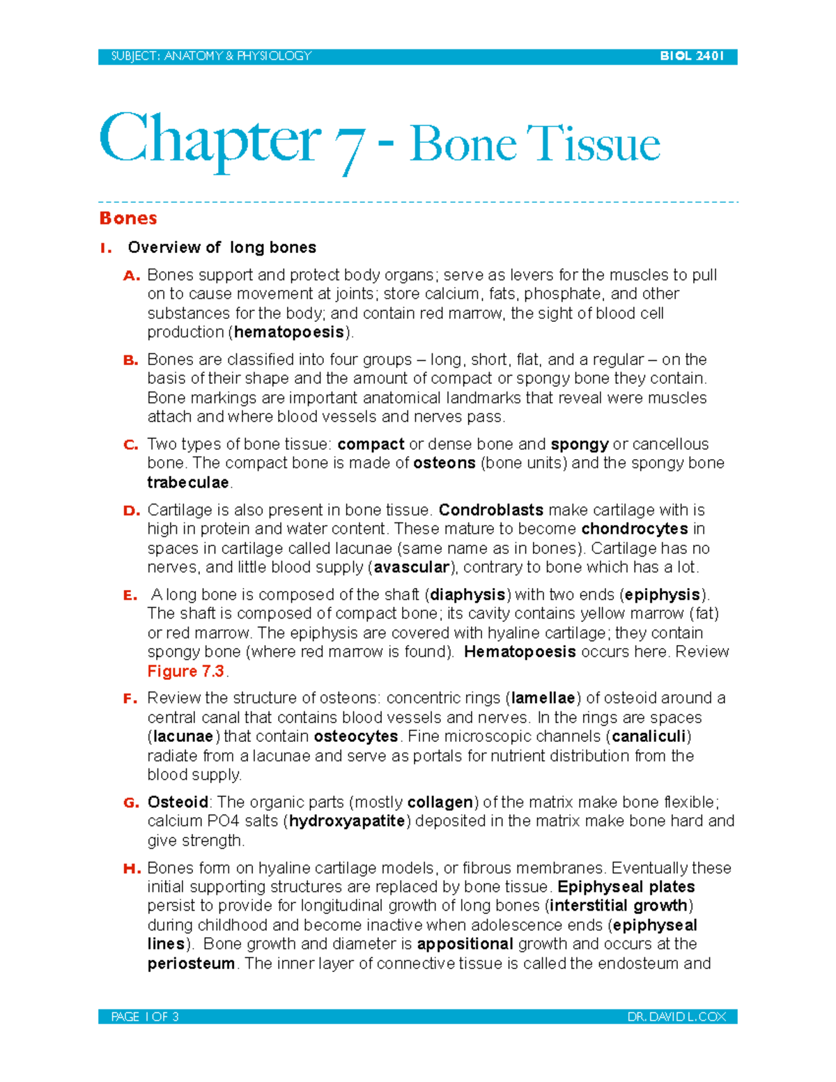 Chapter 7 Bones Summary - Chapter 7 - Bone Tissue Bones Overview of long bones A. Bones support ...
