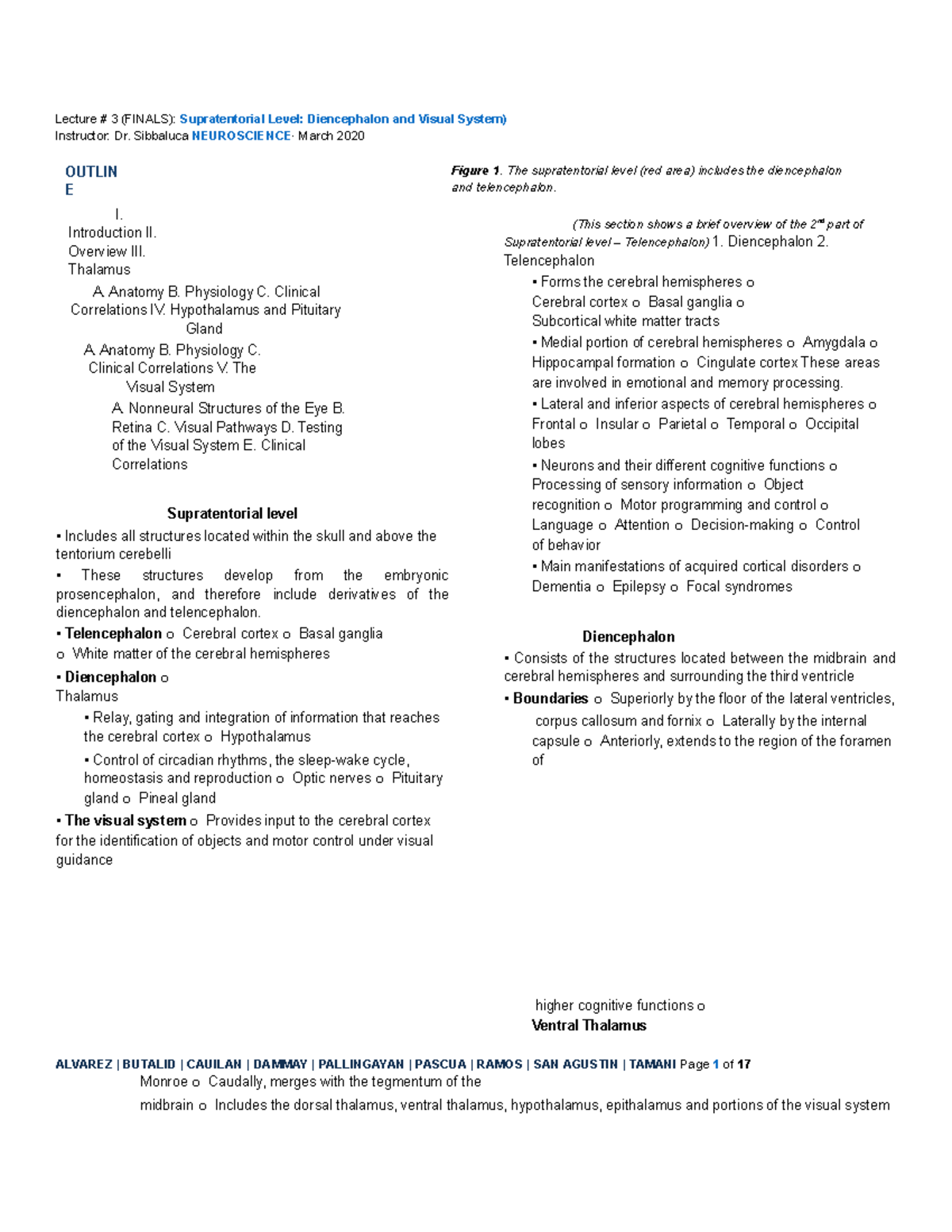 2022-Neuroscience-S3T3-Supratentorial-Level-Diencephalon-and-Visual ...