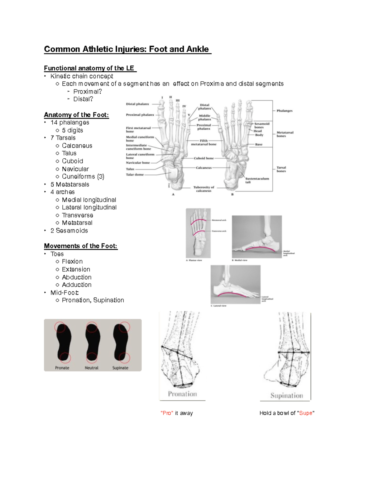 Common Athletic Injuries: Foot and Ankle - Common Athletic Injuries ...