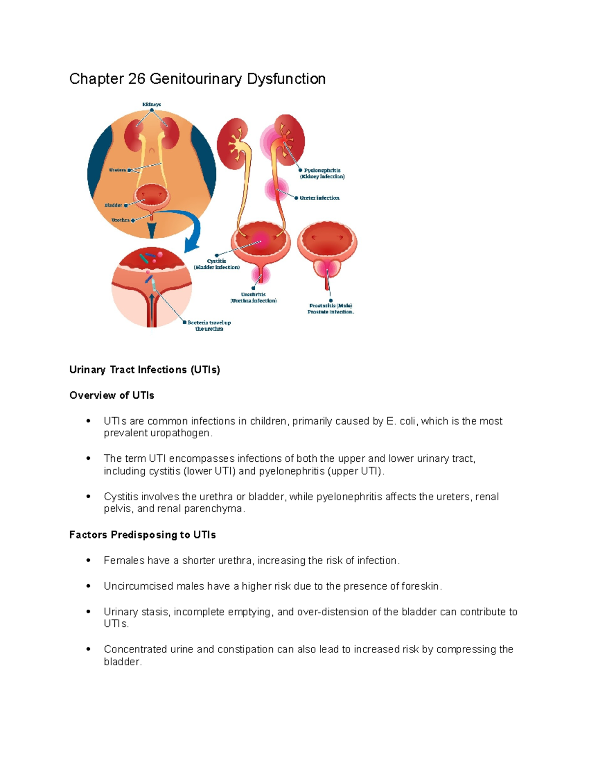 Chapter 26 Genitourinary Dysfunction - Chapter 26 Genitourinary ...