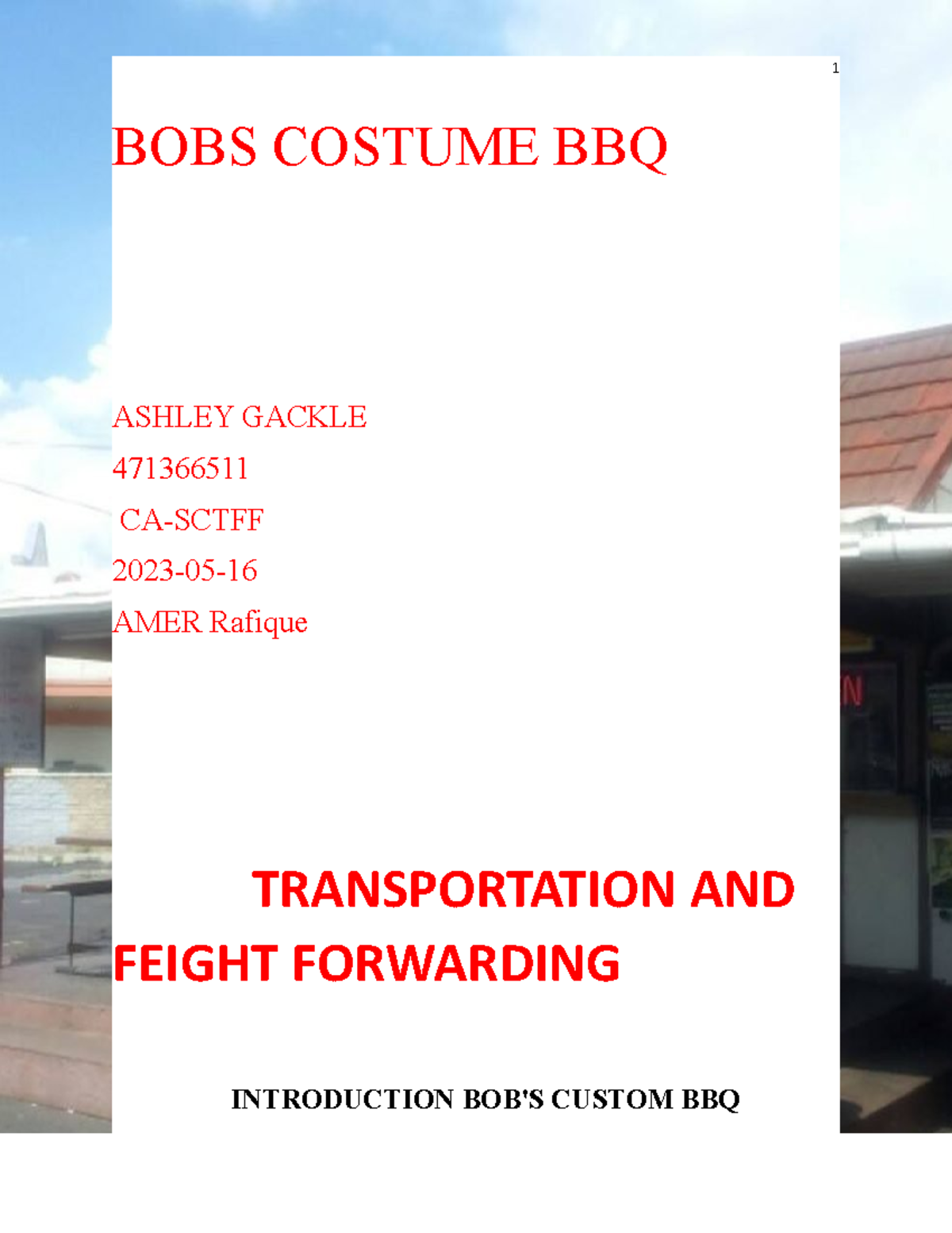 BOBS - case study - BOBS COSTUME BBQ ASHLEY GACKLE 471366511 CA-SCTFF ...