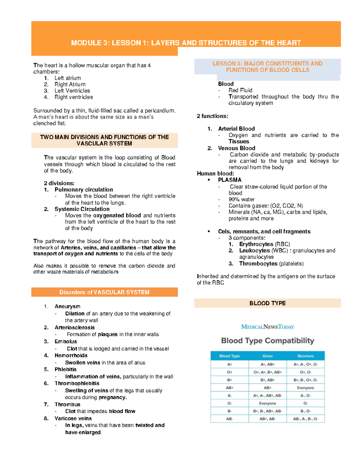 Module-3 - MODULE 3: LESSON 1: LAYERS AND STRUCTURES OF THE HEART The ...
