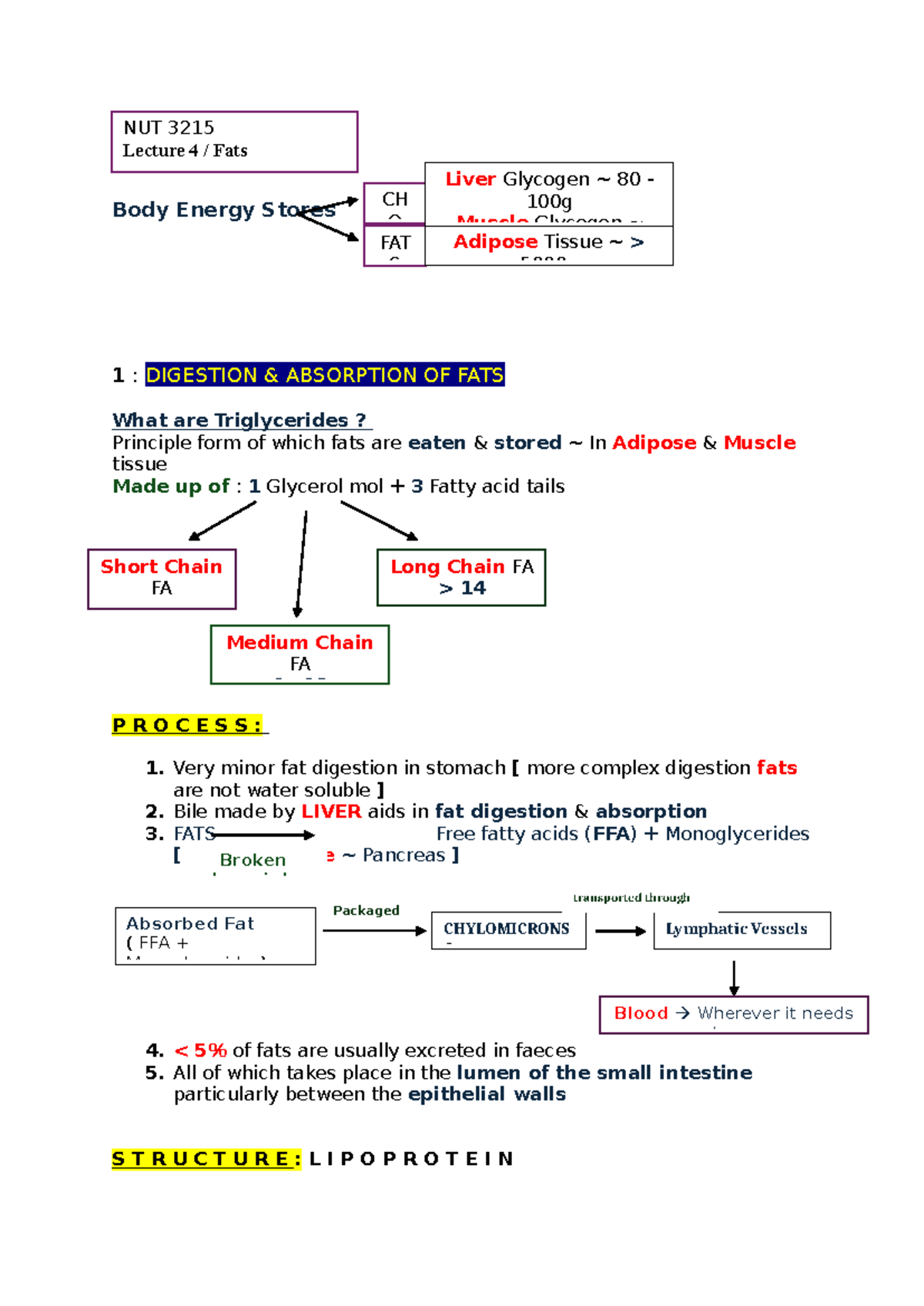Lecture 4 Fats - NUT 3215 Lecture 4 / Fats Body Energy Stores 1 ...