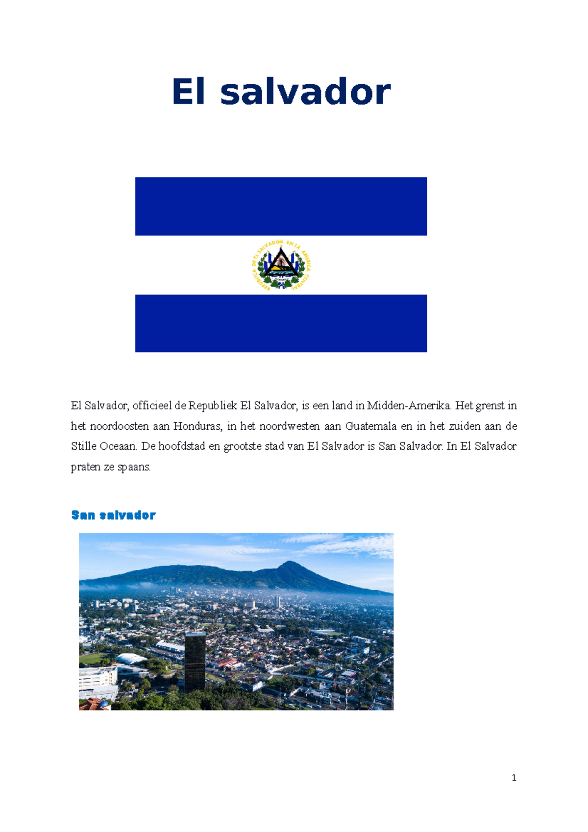 Verslag helemaal ithamar elsavador - Schrijfvaardigheden Engels - Anton ...