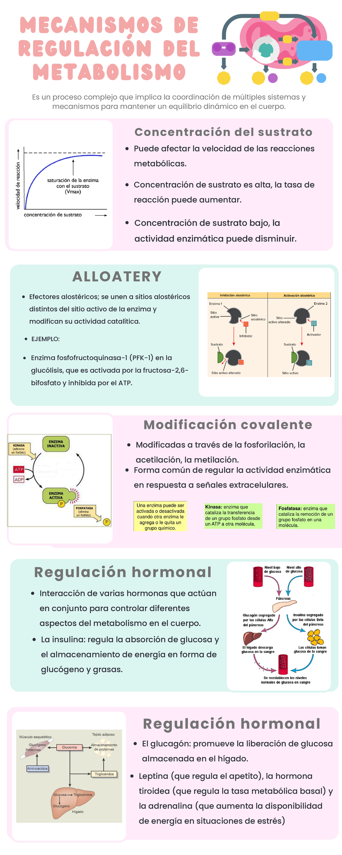 Bioquímica-Nohemi Arias - mecanismos de regulación del metabolismo Es ...