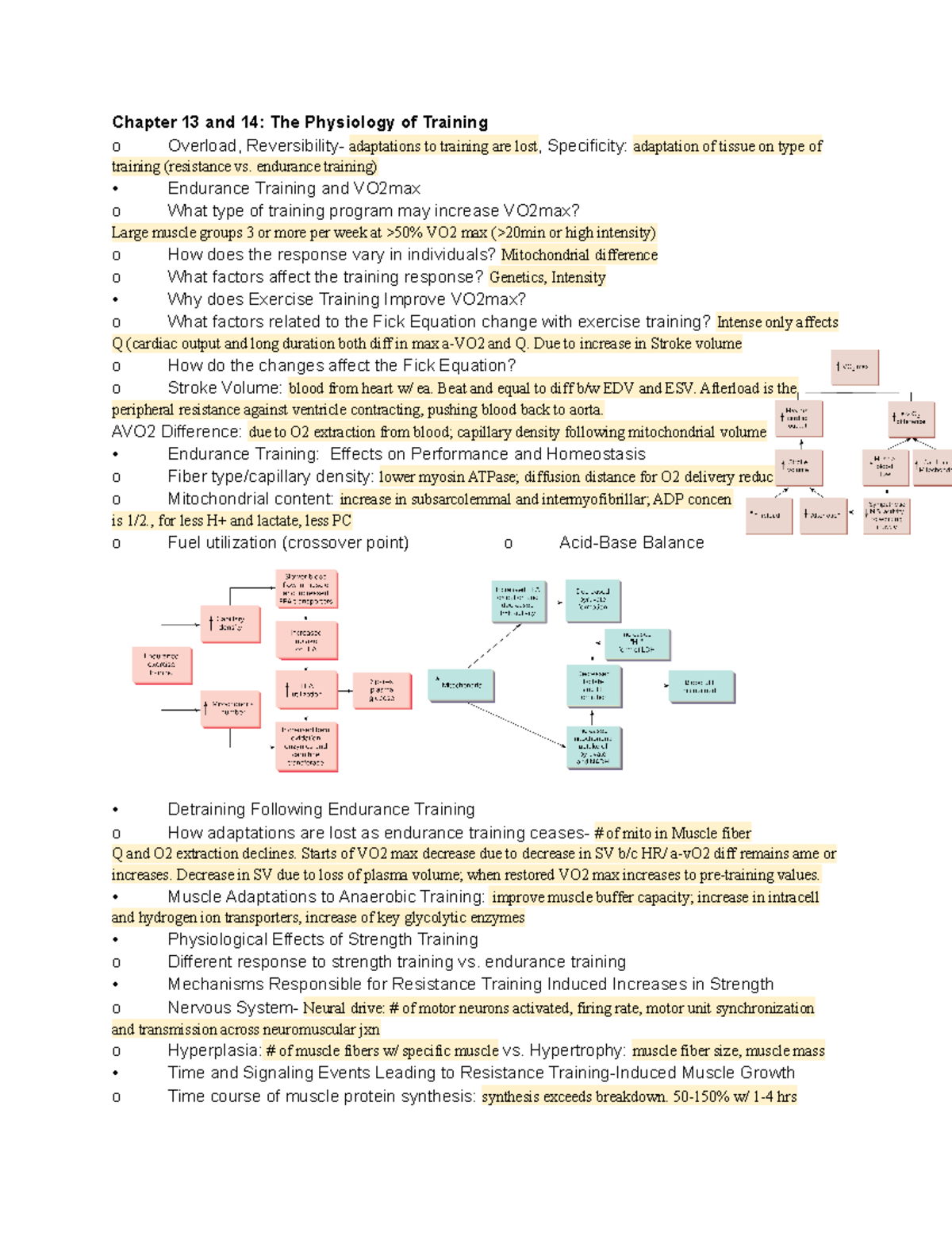 Exam 3 Review Physiology - Chapter 13 and 14: The Physiology of ...