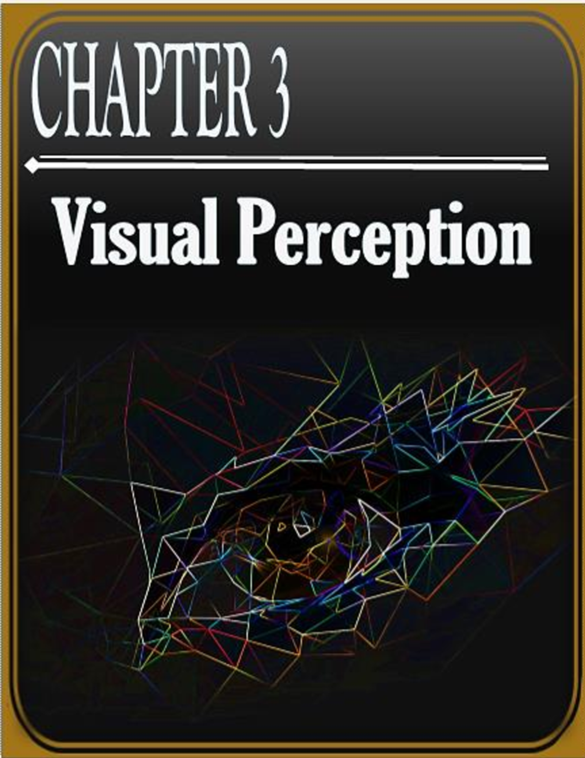 Chapter 3 Visual Perception - We do not perceive the world exactly as ...
