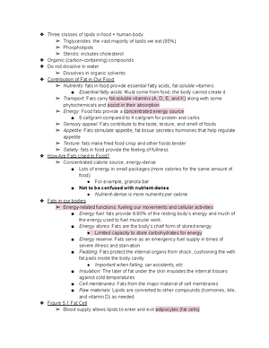 Tort Law Notes - Torts - LL +ROGLQJ ,Q RXU YLHZ JLYHQ WKH FLUFXPVWDQFHV ...
