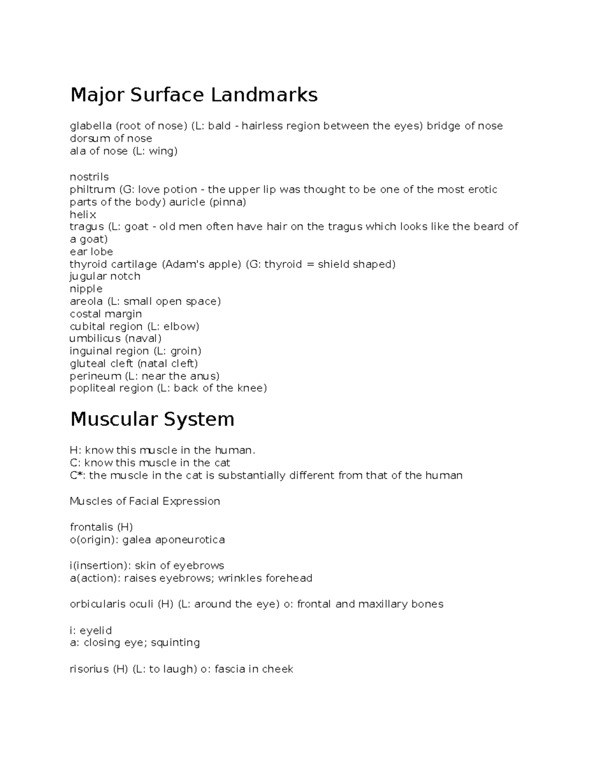 Major Surface Landmarks - Major Surface Landmarks glabella (root of ...