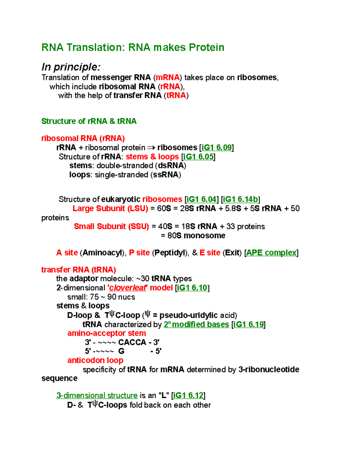 RNA Translation - lecture notes 4 - RNA Translation: RNA makes Protein ...