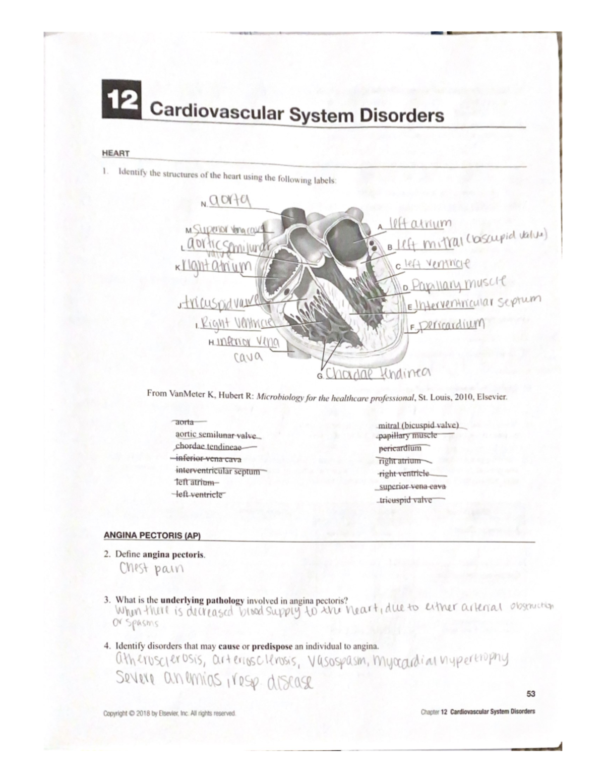 Week 7 ch. 12 study guide - NSG 3113 - Studocu