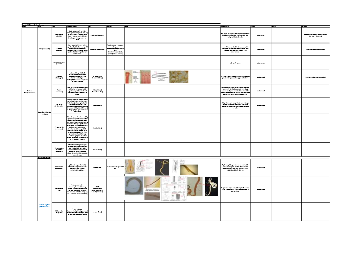Spot infek - Skema over parasitter til SPOT eksamen i bakteriologi og ...