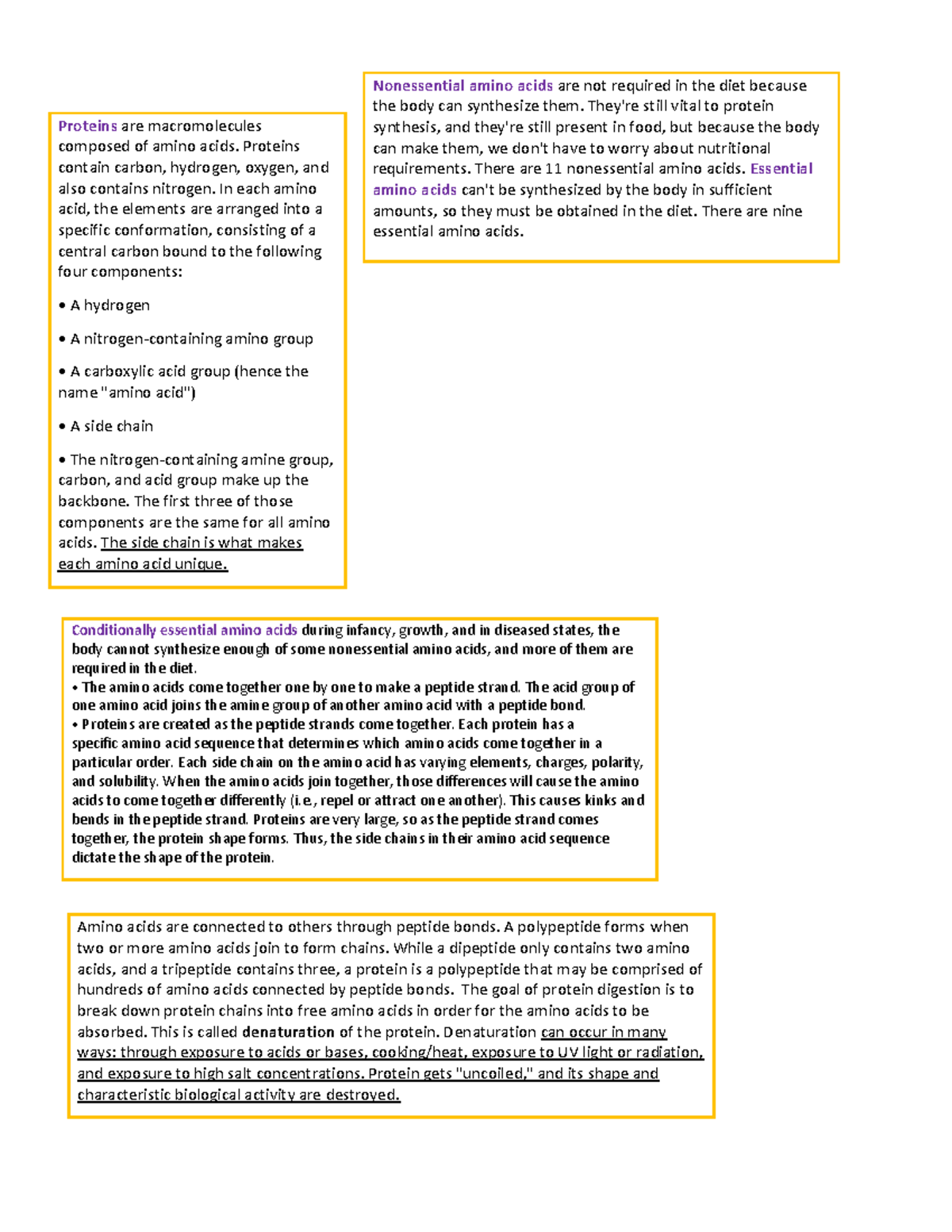 HUN2202-proteins - Test 1 study guide test grade- 94/100 - HUN 2202 ...