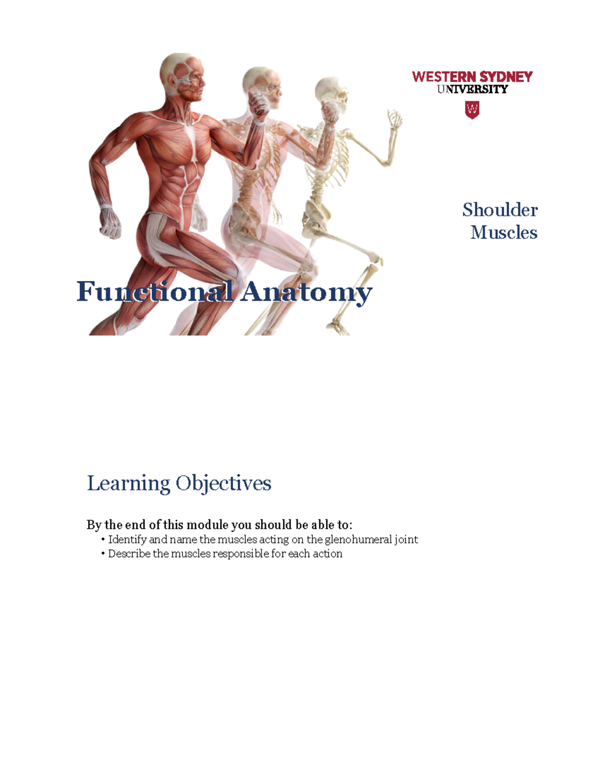 Shoulder muscles slides - Shoulder Muscles Functional AnatomyFunctional ...