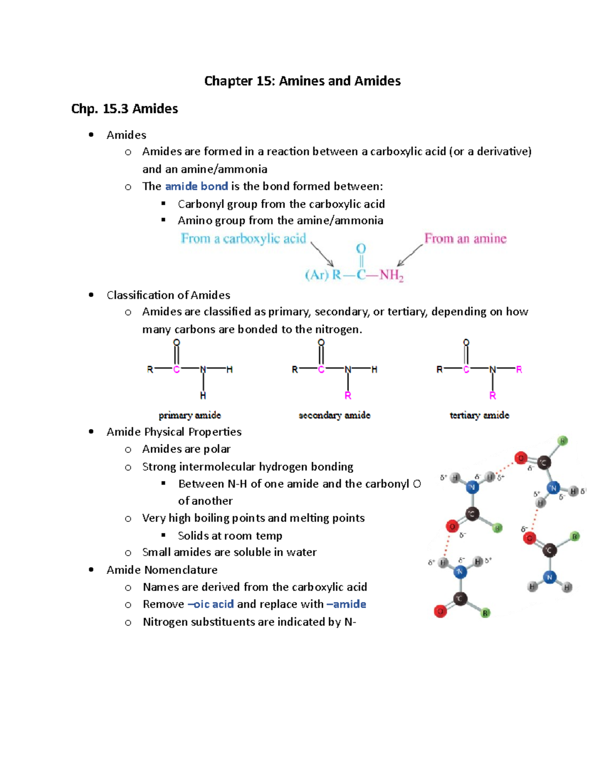 Chapter 15 section 3: Amides - Chapter 15: Amines and Amides Chp. 15 ...