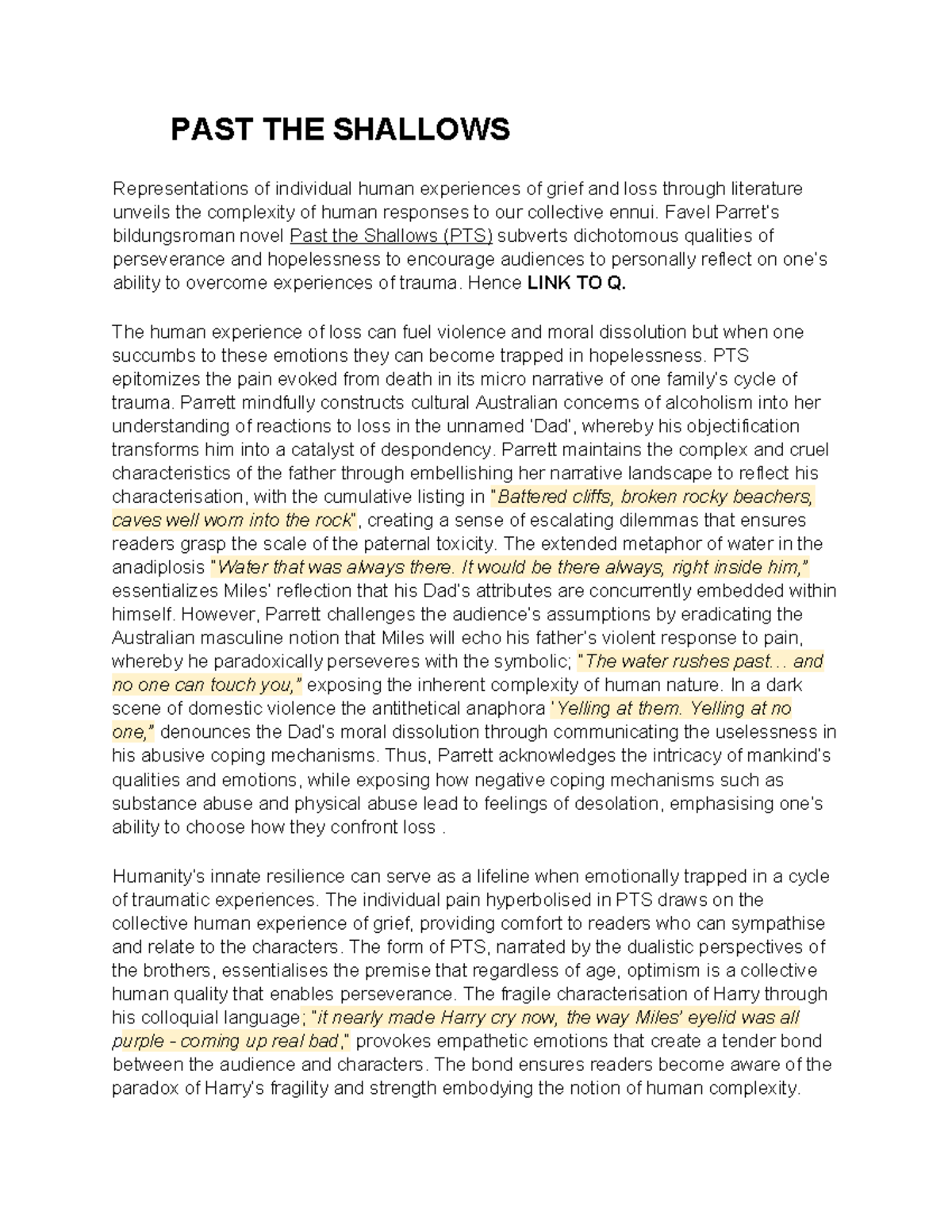 Past the shallows essay - PAST THE SHALLOWS Representations of ...