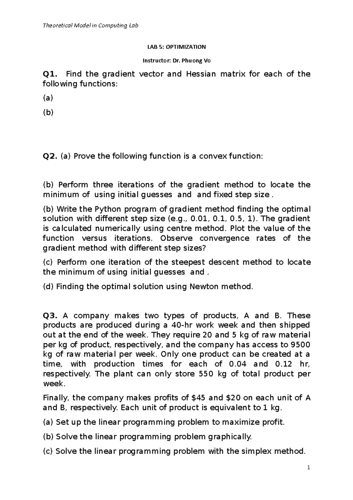 TMC Lab5 Phuong Vo Optimization - Theoretical Model in Computing Lab ...