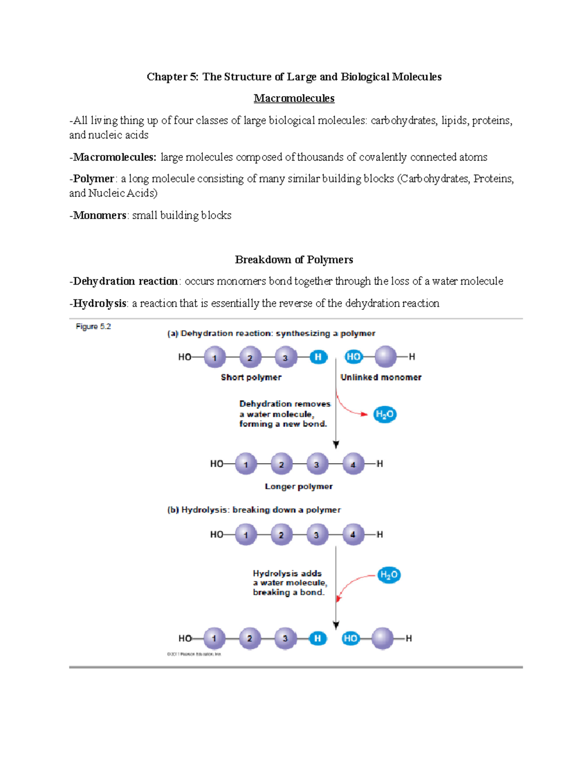 Chapter 5 Notes - unit 1 - Chapter 5: The Structure of Large and ...