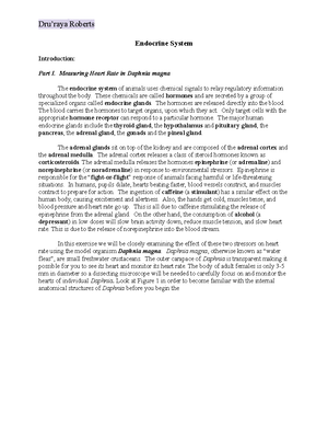 Endocrine Lab Report - Comparative Vertebrate Anatomy By Dru’raya ...