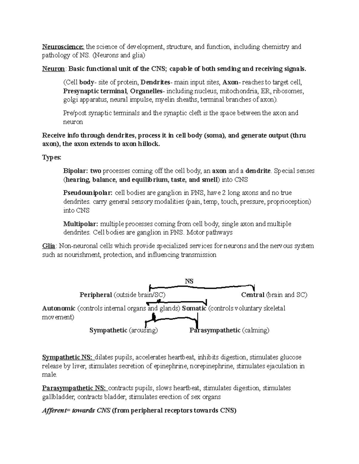 Neuro study guide - Neuroscience: the science of development, structure ...