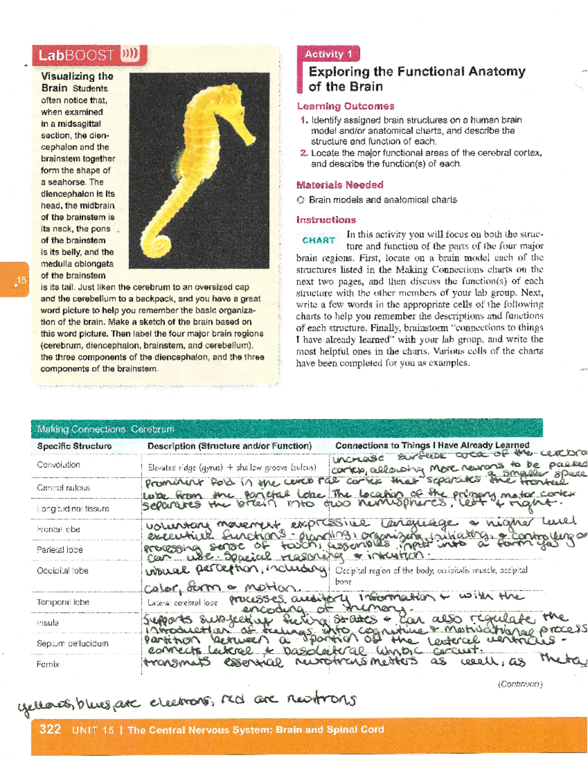Unit 15 Activity 1 - BIOS 2310L - MCC - Studocu