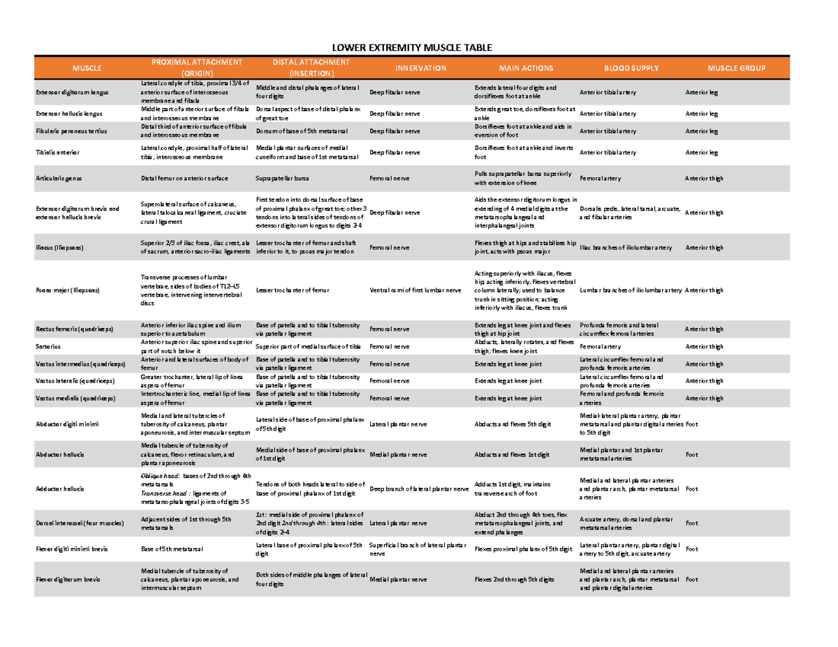 Lower Extremity Muscle Table - MUSCLE PROXIMAL(ORIGIN) ATTACHMENT ...