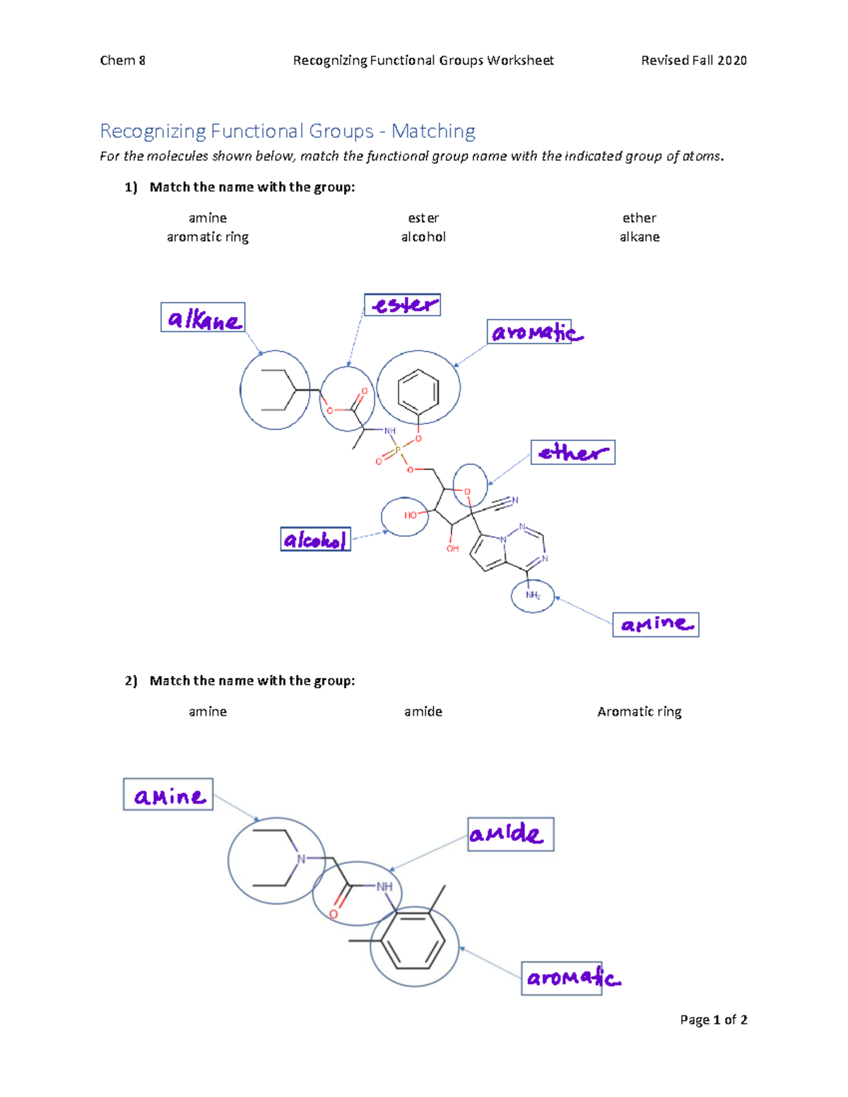 Recognizing Functional Groups Worksheet Solutions - Chem 8 Recognizing ...