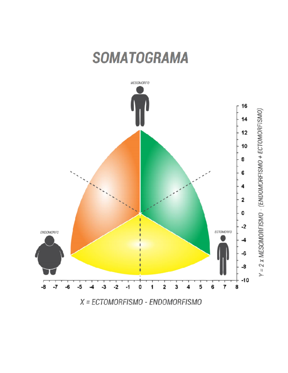 Somatograma - Representacion de somatotipo - Interpretación Médica ...
