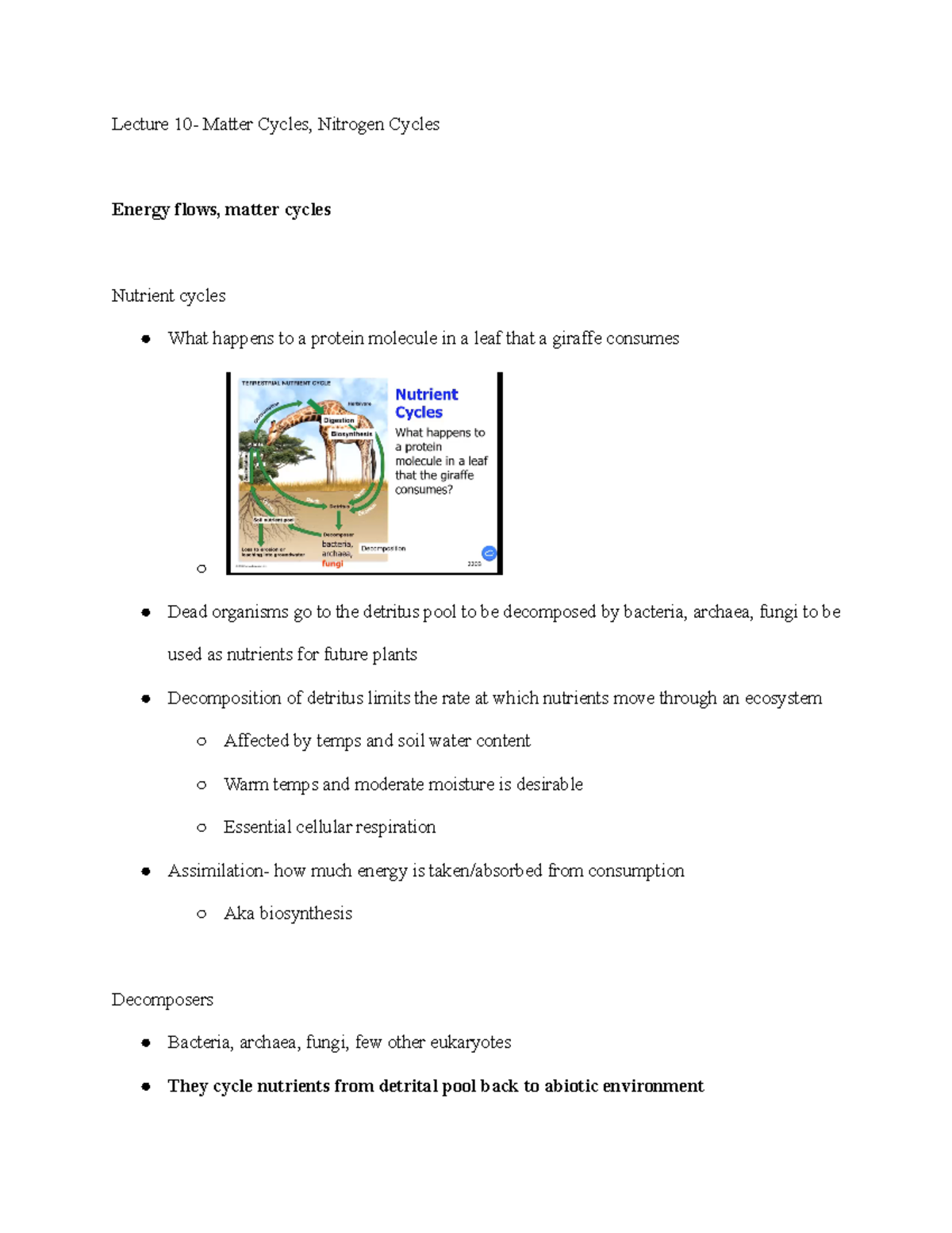 Lecture 10- Matter Cycles, Nitrogen Cycles - NH4+ - ammonium, PO43 ...