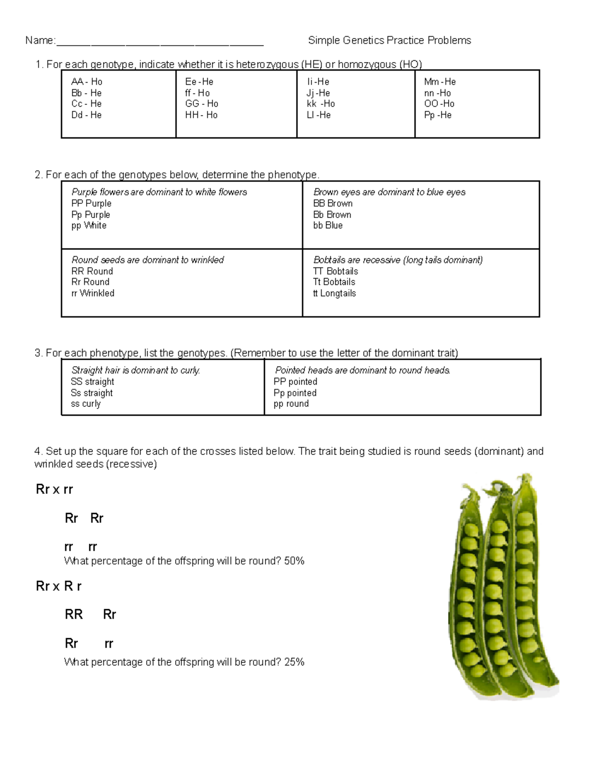 Simple Genetics Practice Problems - For each genotype, indicate whether ...