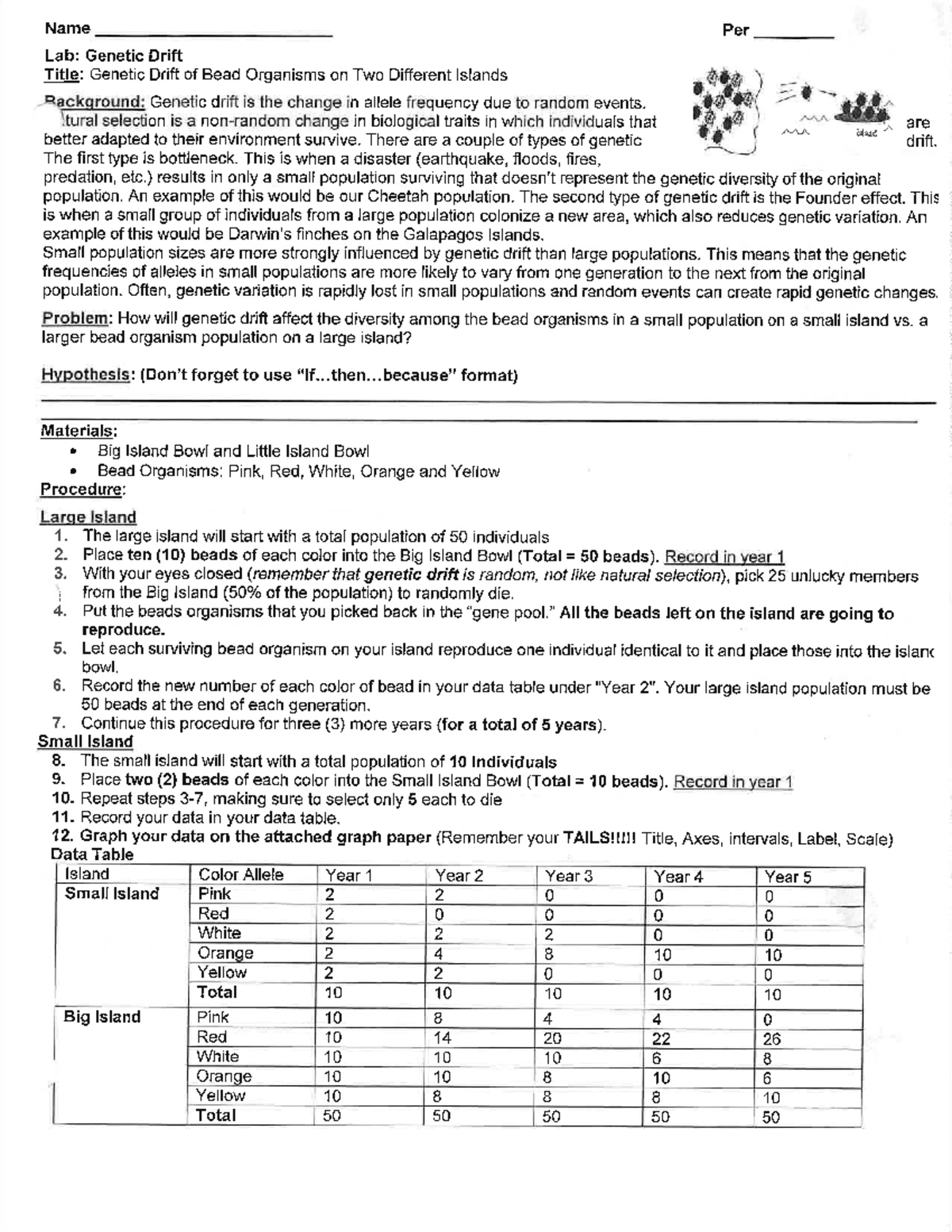 Lab Genetic Drift - Studocu