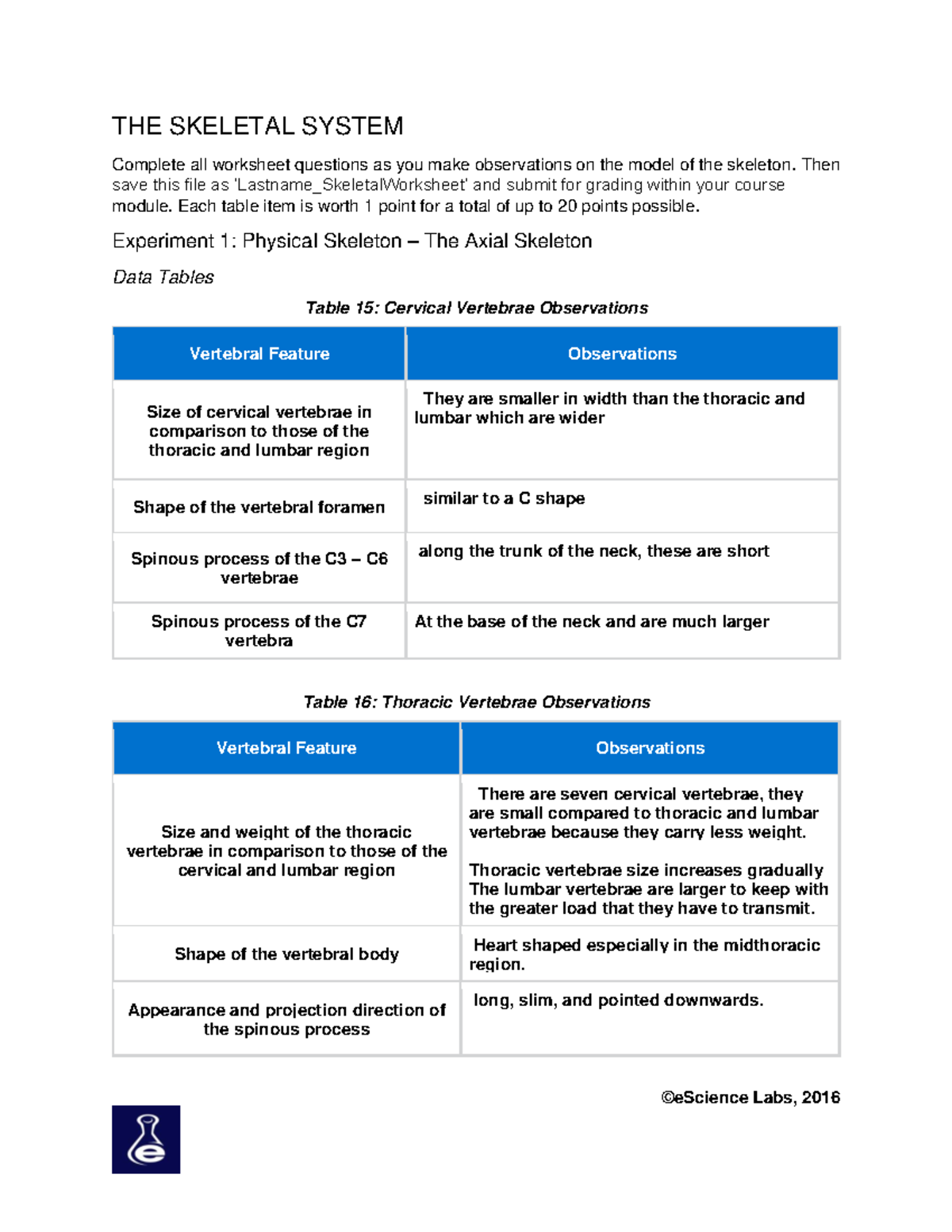 Ireland Skeletal Worksheet - ©eScience Labs, 2016 THE SKELETAL SYSTEM ...