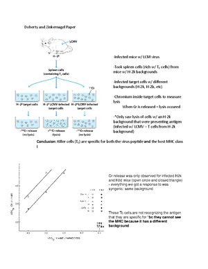 DNA replication Experiments - BIOSC 1760 - Studocu