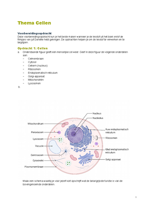 Voorbereidingsopdracht Beenderstelsel ANTW - Anatomie ...