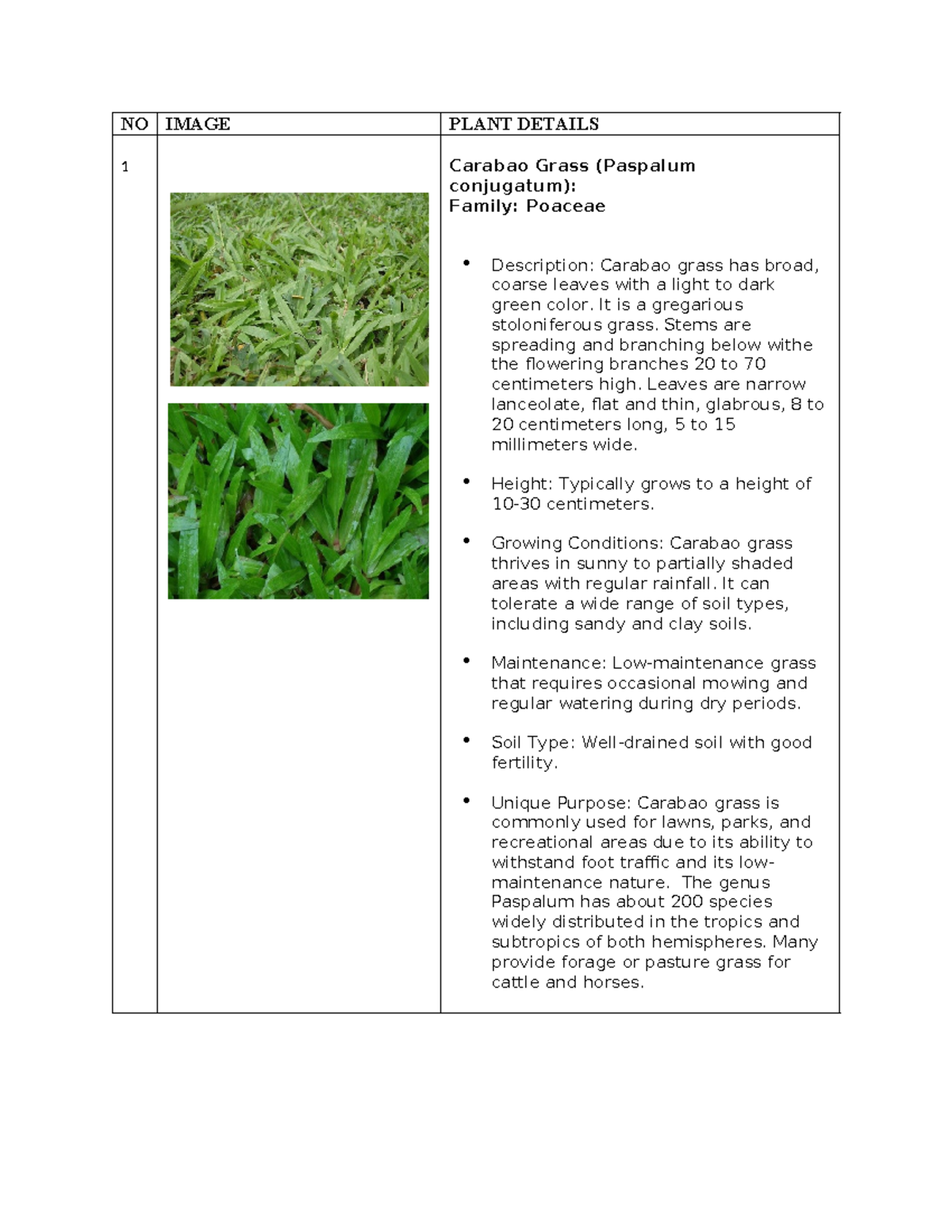 CMA1 Plantlist - NO IMAGE PLANT DETAILS 1 Carabao Grass (Paspalum ...