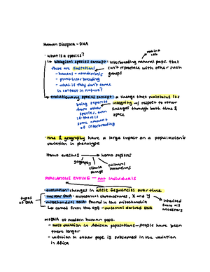 Genetics notes - Genetics lecture LilyRodgers gene section of DNA that ...