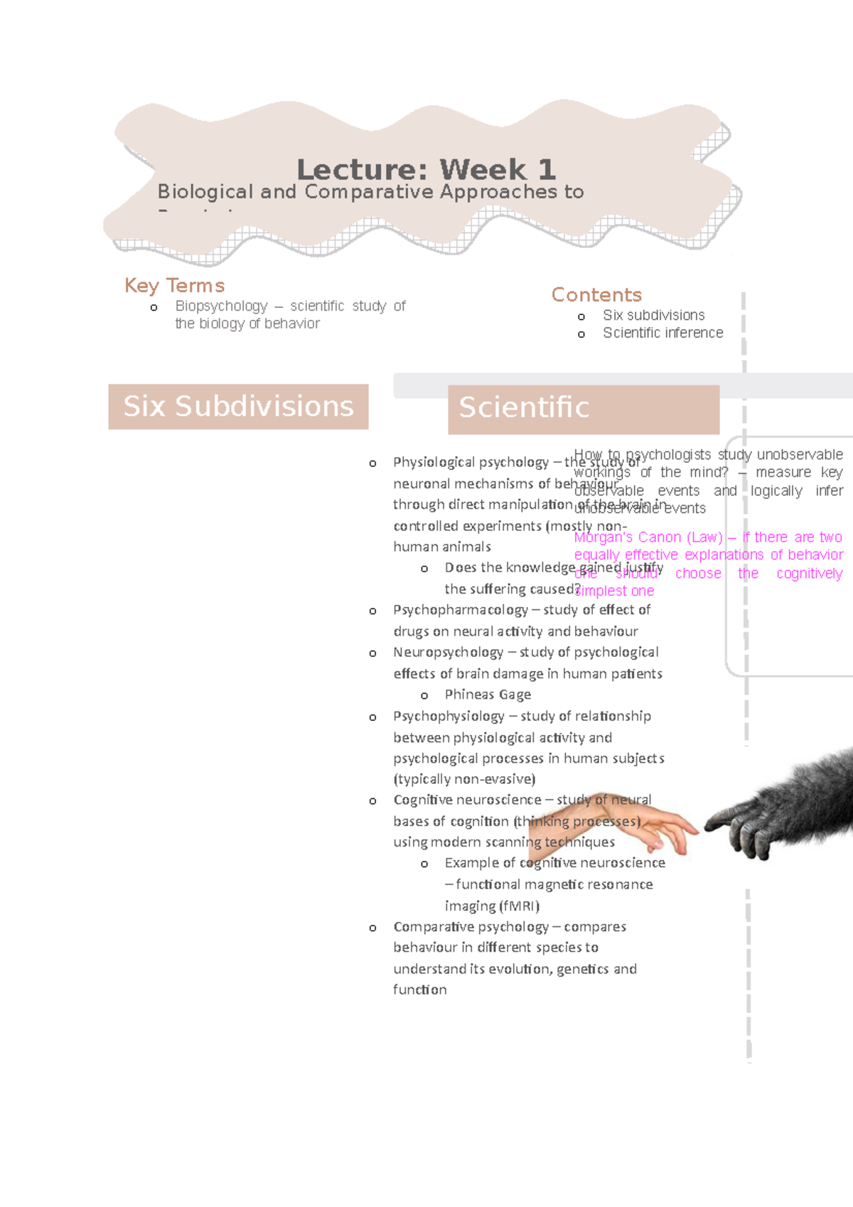 Bio And Comp Week 1 This Is Lecture Notes From The First Week Of Year 1 Psychology Lecture
